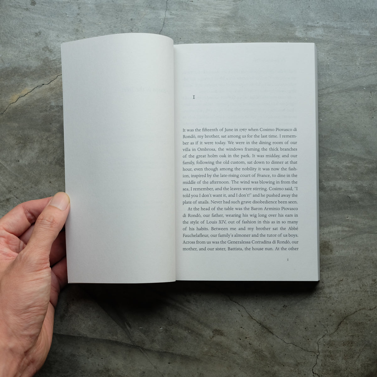 The Baron in the Trees – Books & Belongings