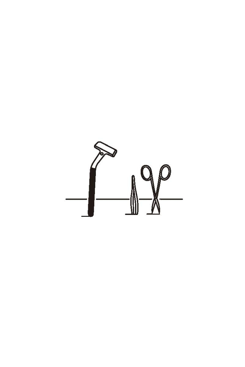 Sequential Drawings : The New Yorker Series – Books & Belongings