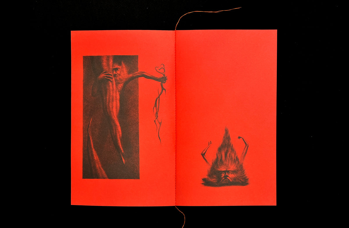 The Diary Zine – Books & Belongings